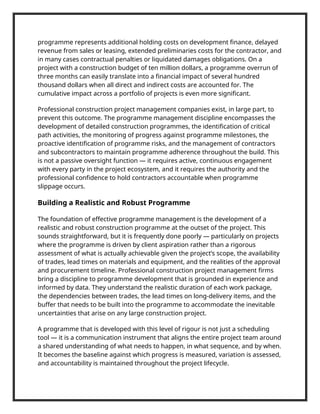 Why Large Projects Require Professional Project Management.docx