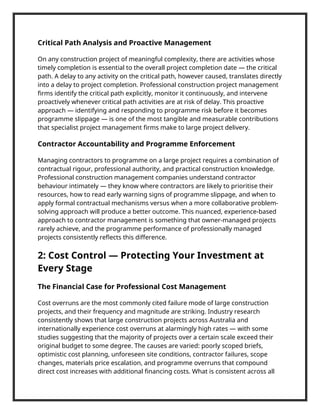 Why Large Projects Require Professional Project Management.docx