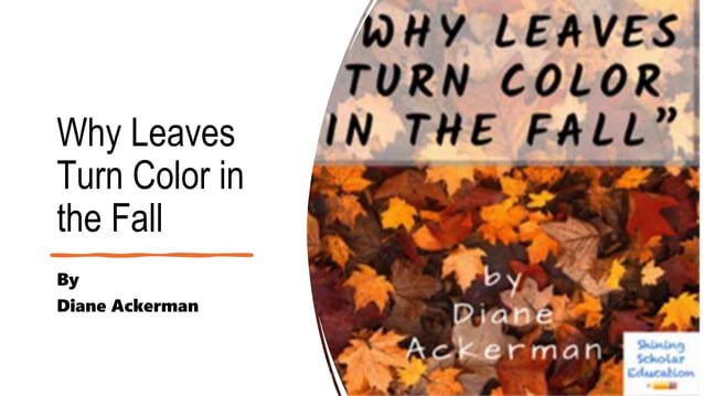 Why leaves turn color in the fall vocab.pptx