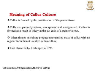 Botany:Callus Culture | PPTX