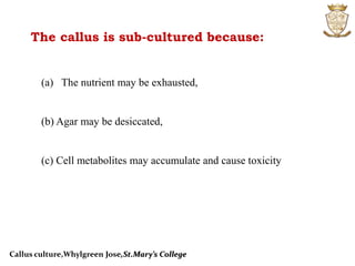 Botany:Callus Culture | PPTX