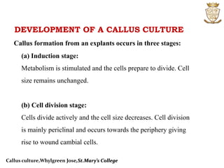 Botany:Callus Culture | PPTX