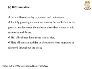 Botany:Callus Culture | PPTX