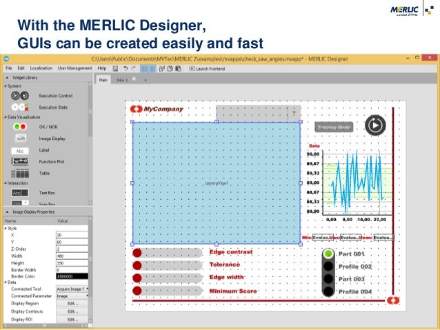Why merlic presentation