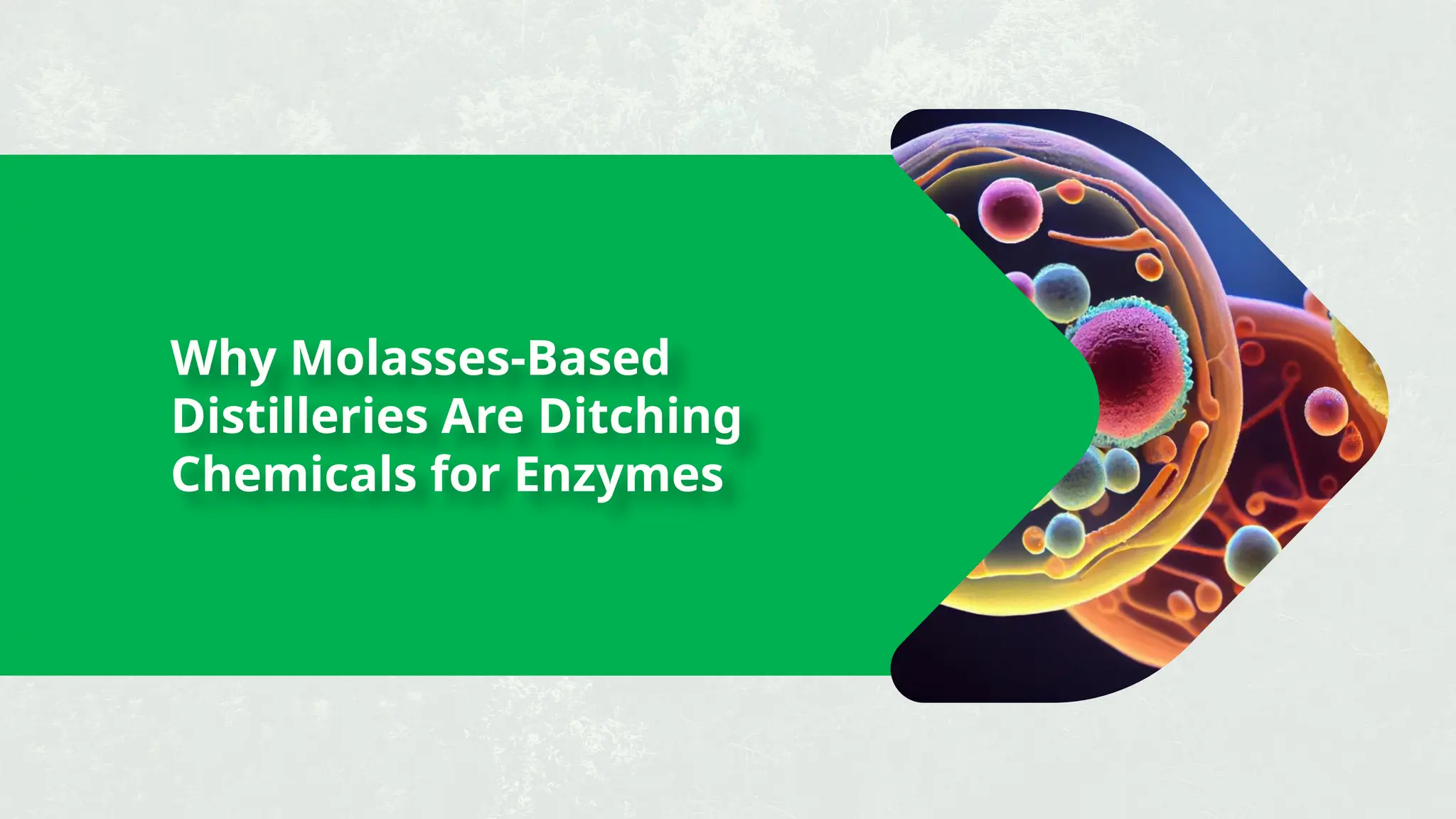 From Chemicals to Cleaner Molasses Fermentation | PPTX