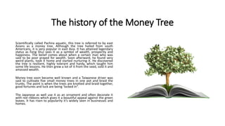 Ezzat Daniel Nesseim - Importance of Money Tree | PPTX