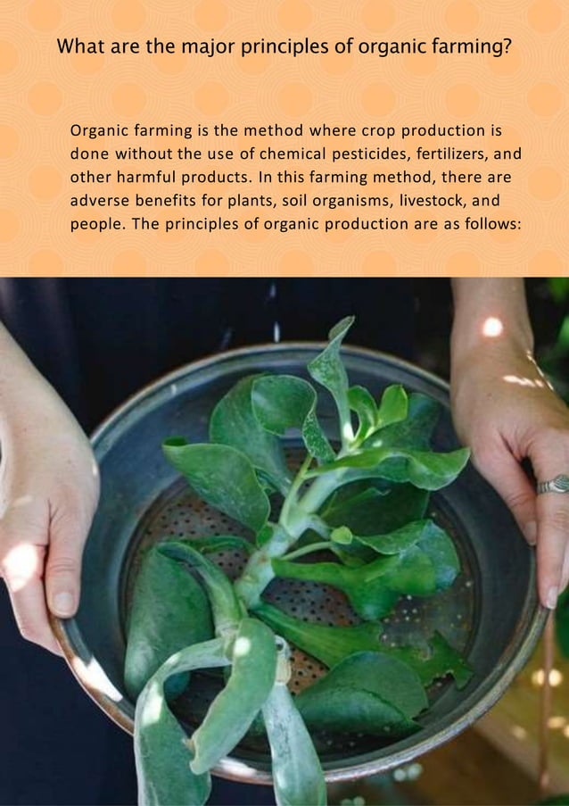 What are the major principles of organic farming? | PDF
