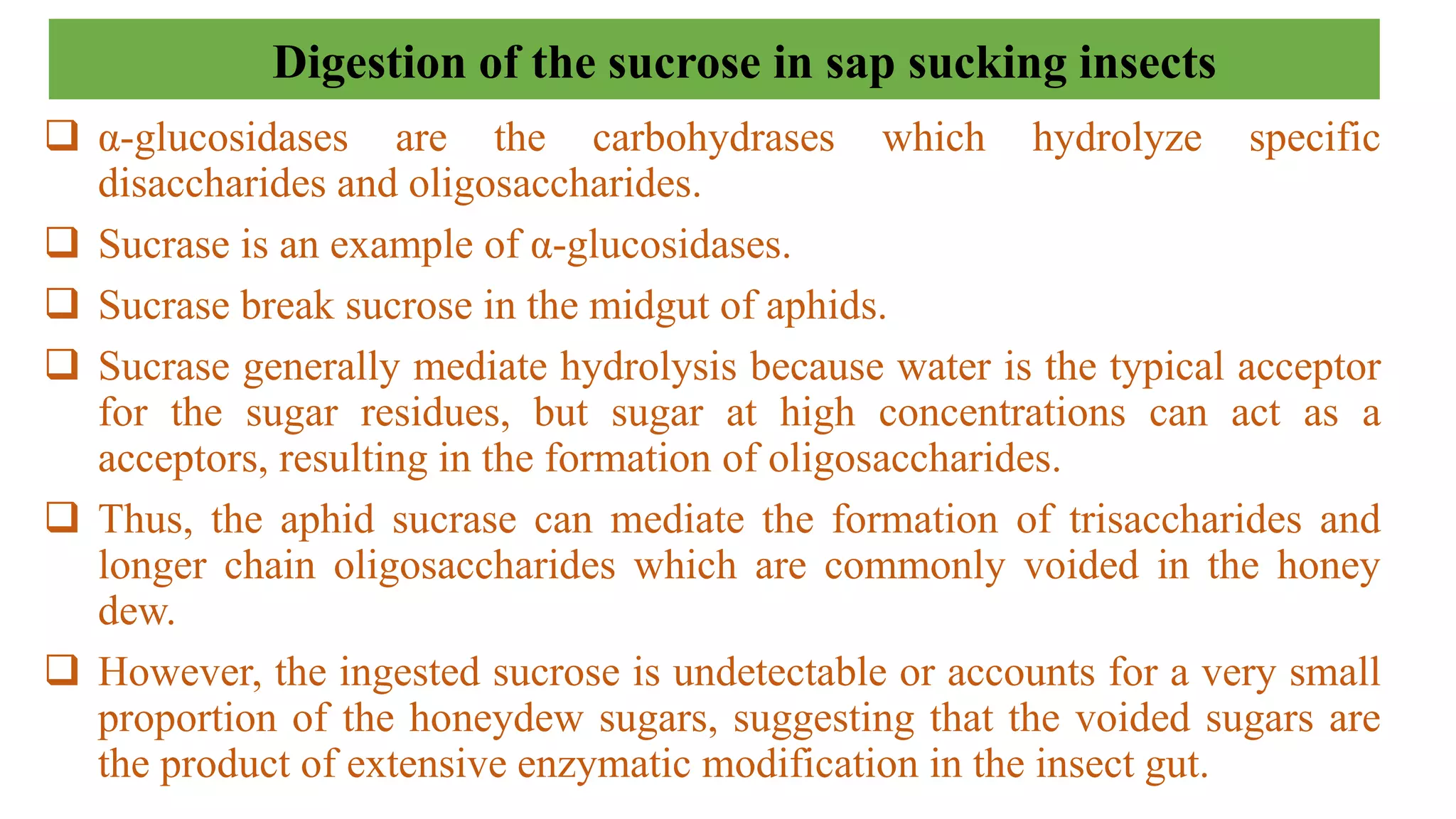 why sap sucking insects excrete honey dew.pptx