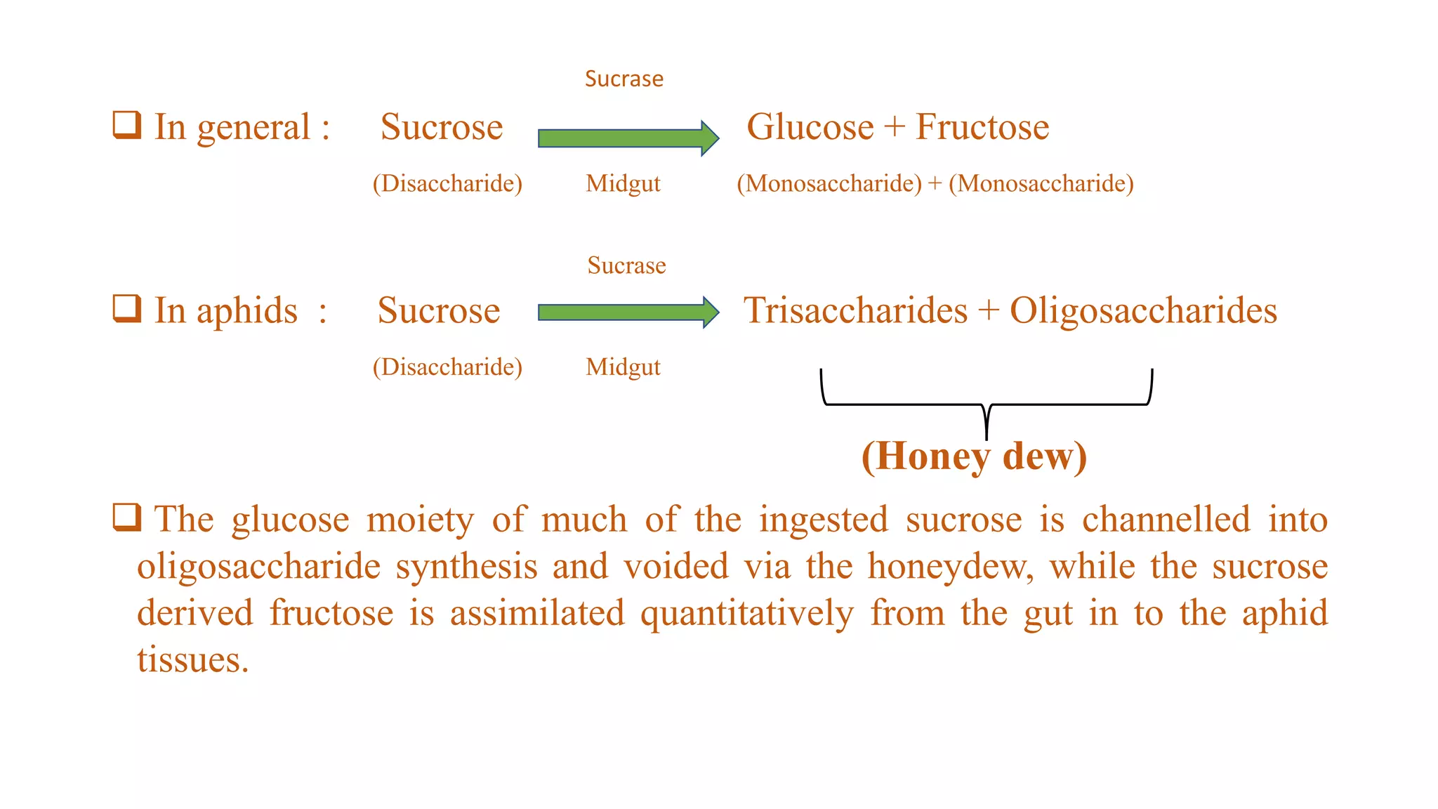 why sap sucking insects excrete honey dew.pptx