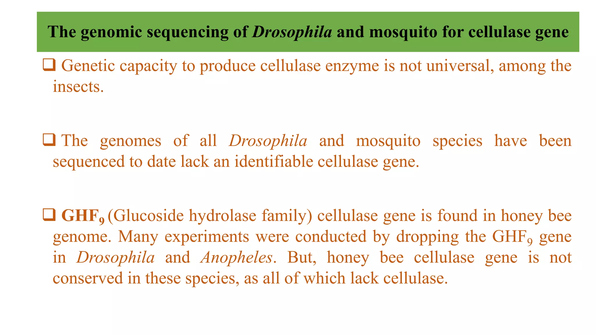 why sap sucking insects excrete honey dew.pptx