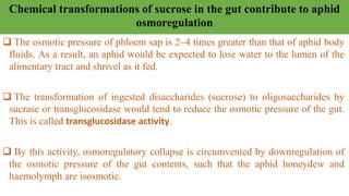 why sap sucking insects excrete honey dew.pptx