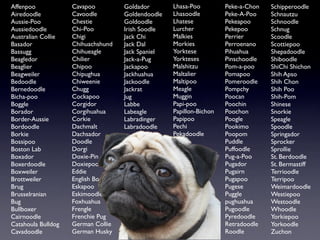 Ignite Ann Arbor II talk | PPT