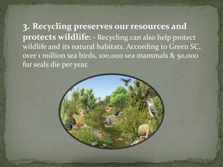 Why should we recycle? | PPT