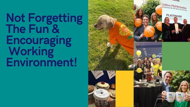 Why should you work for us! | PDF