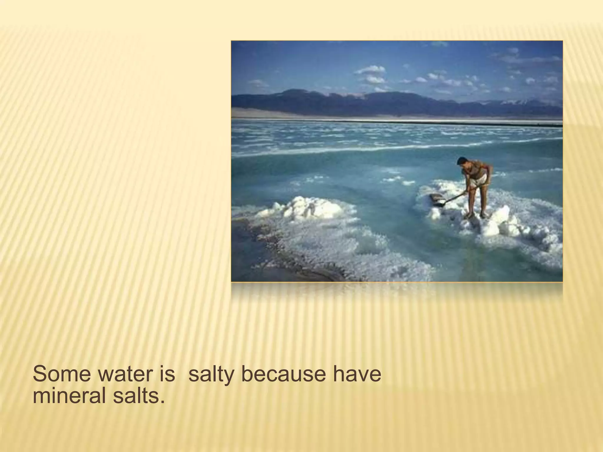 Why some water is salty | PPT