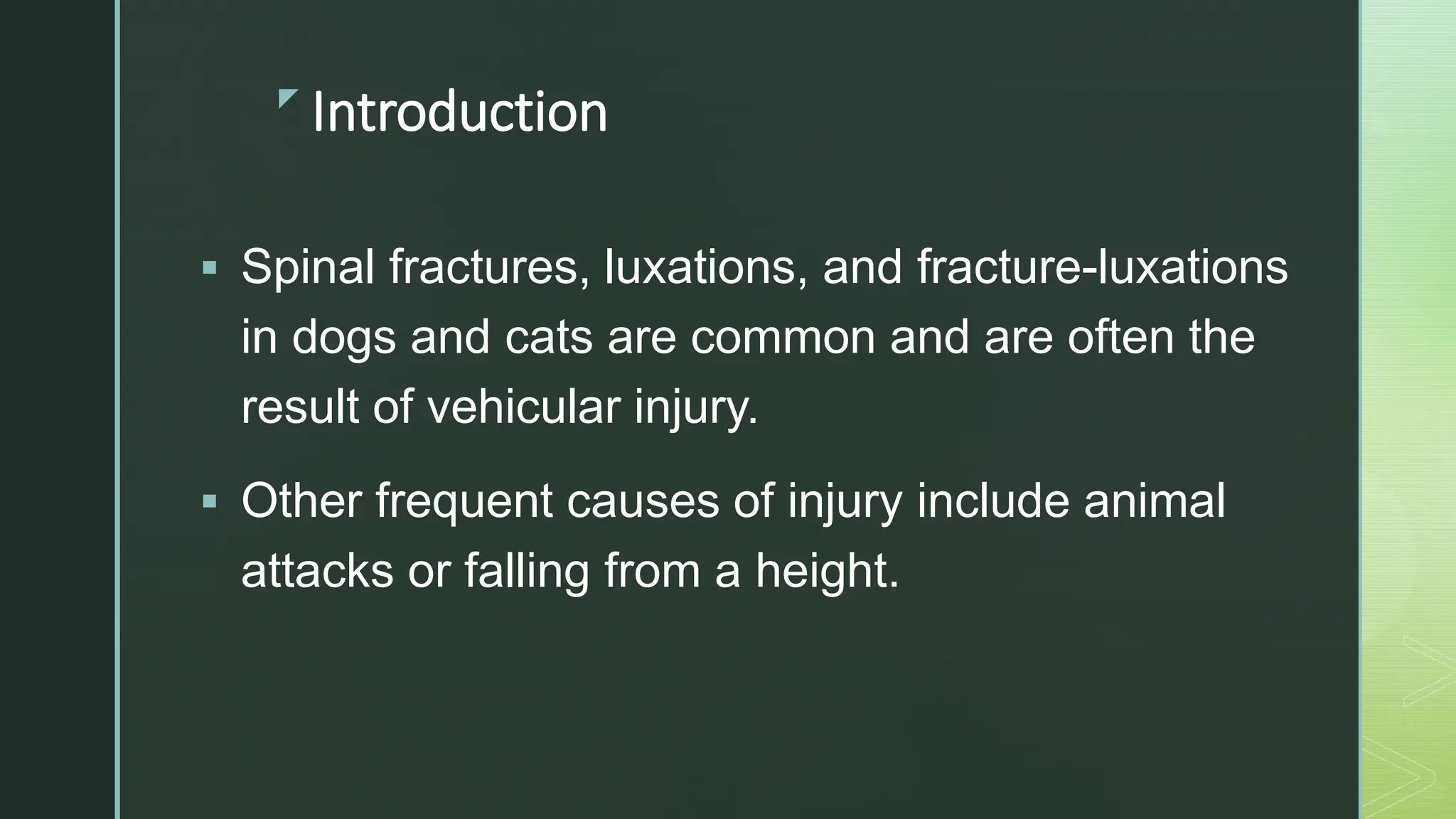 Why Spinal fracture in small animals.pptx