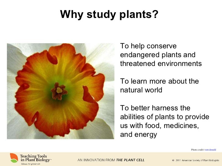 Why Study Plants Why Study Plants