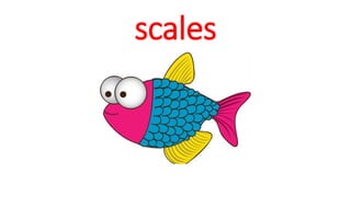 Why Sun & Moon Live in the Sky.pptx | Space and Astronomy | Science