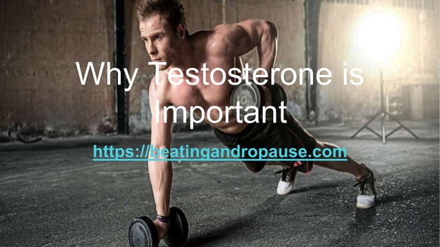 Why testosterone is important | PPT