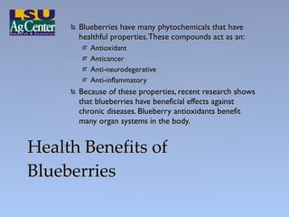 Why the blue is good for you | PPT
