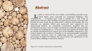 Why the Lumber-An illustrative Depiction.pdf