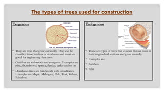 Why the Lumber-An illustrative Depiction.pdf