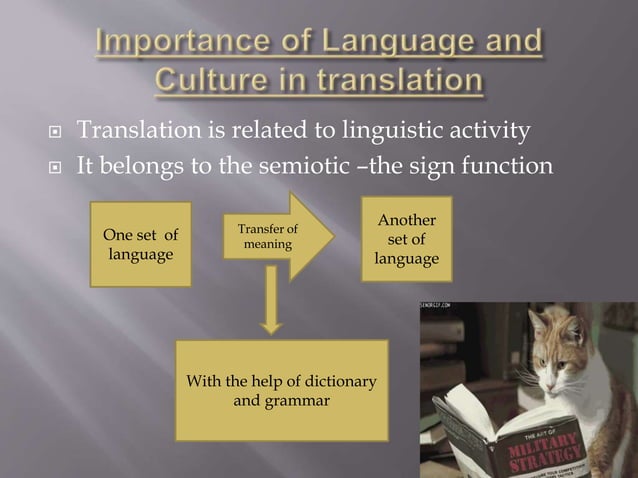 Introduction of Translation study | PPTX