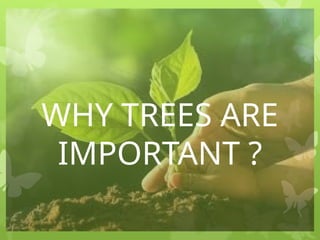 WHY TREES ARE IMPORTANT? Trees are the backbone of life on Earth. | PPTX