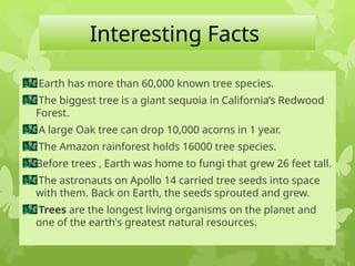 WHY TREES ARE IMPORTANT? Trees are the backbone of life on Earth. | PPTX