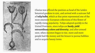 Why tulips ? | PPTX