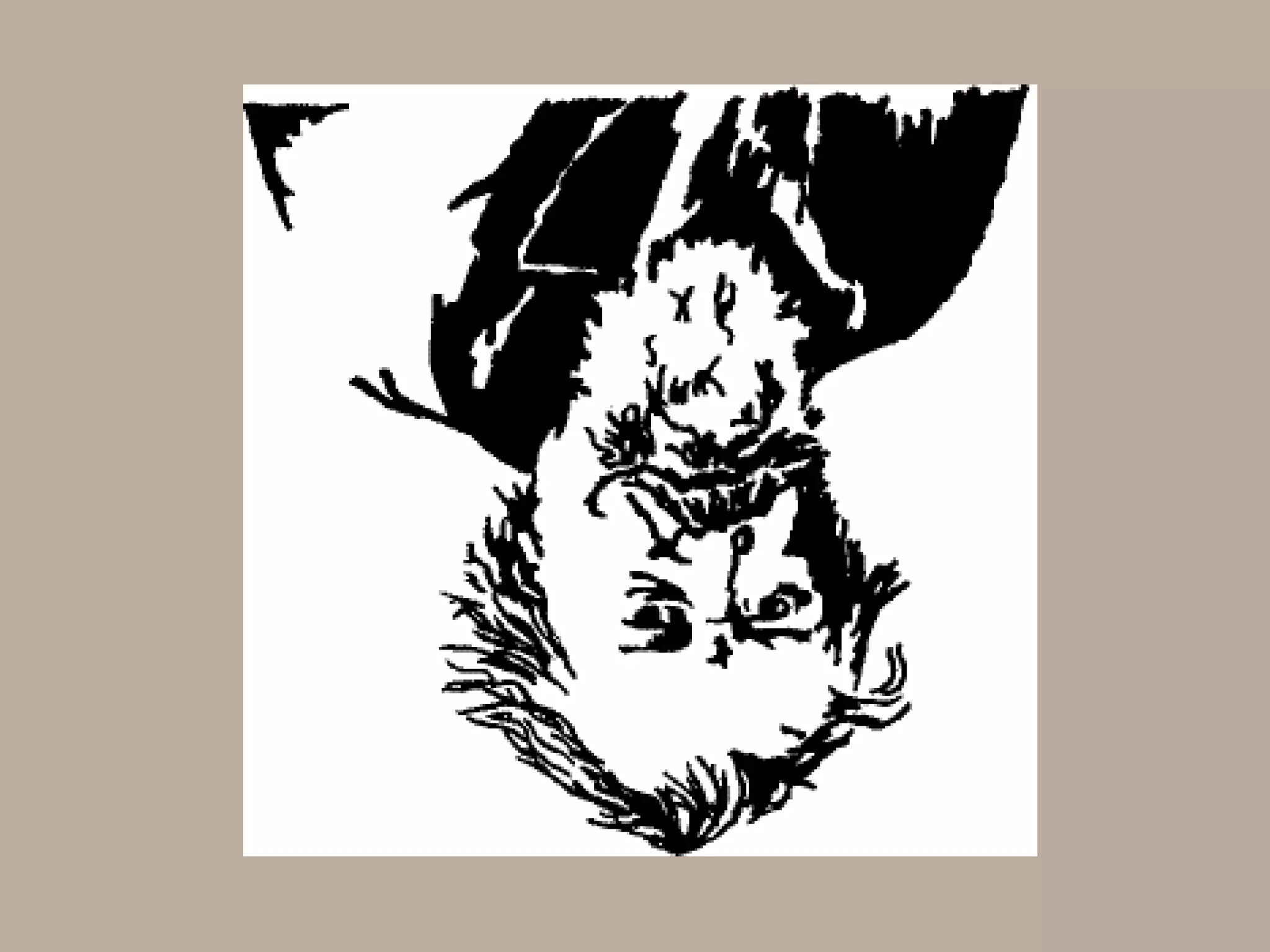 Why Upside Down Drawing? | PDF