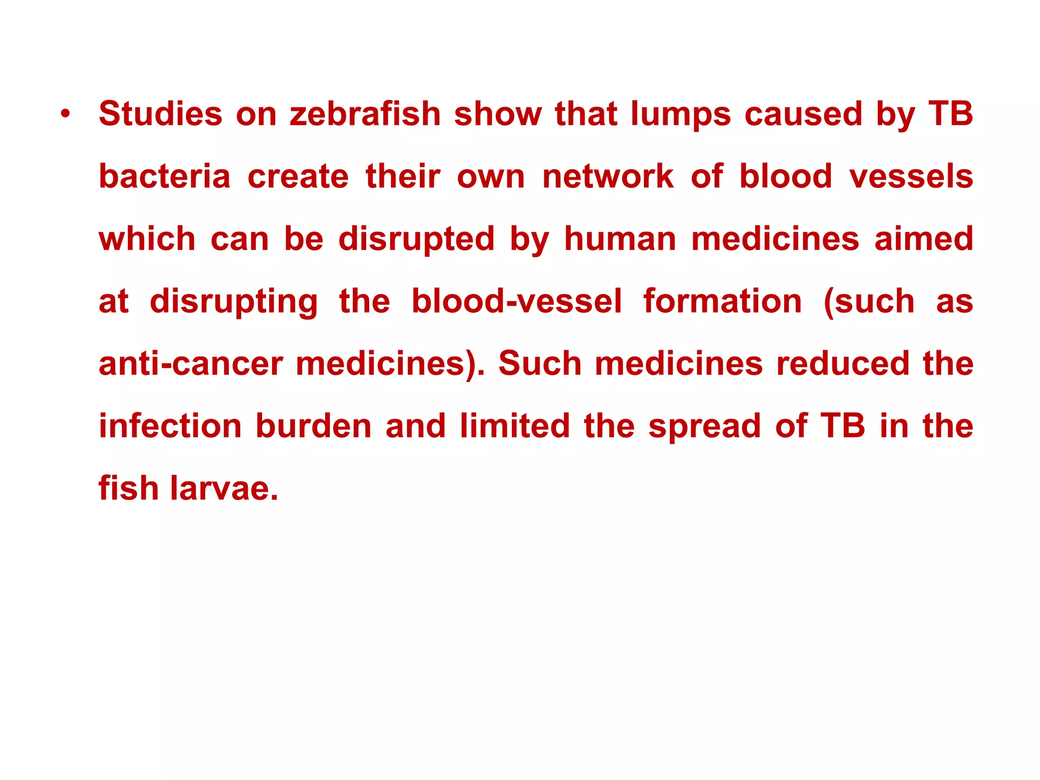 Why use the zebrafish in research.pptx