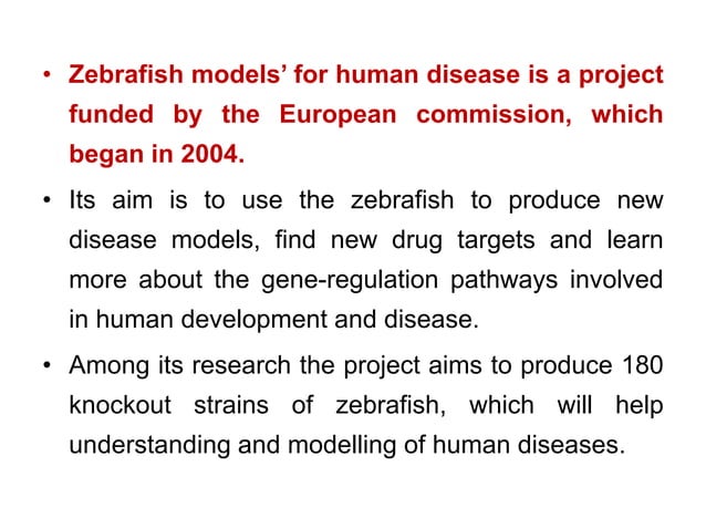 Why use the zebrafish in research.pptx