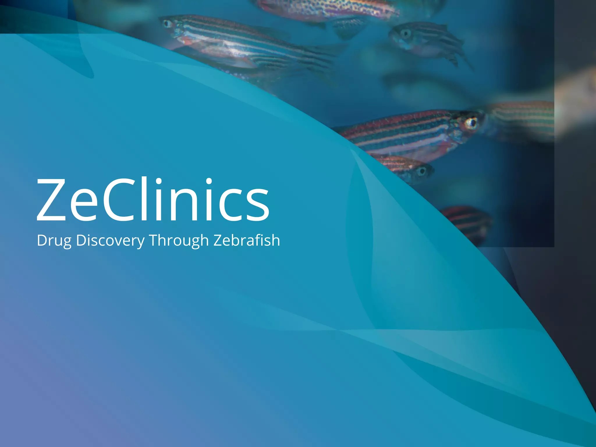 Why Using Zebrafish for BioMedical Research and Drug Discovery? | PDF