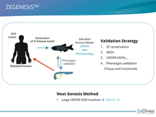 Why Using Zebrafish for BioMedical Research and Drug Discovery? | PDF | Biotech and Biomedical ...