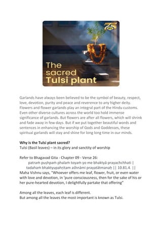 significance & benefits of Worshipping Tulsi | PDF