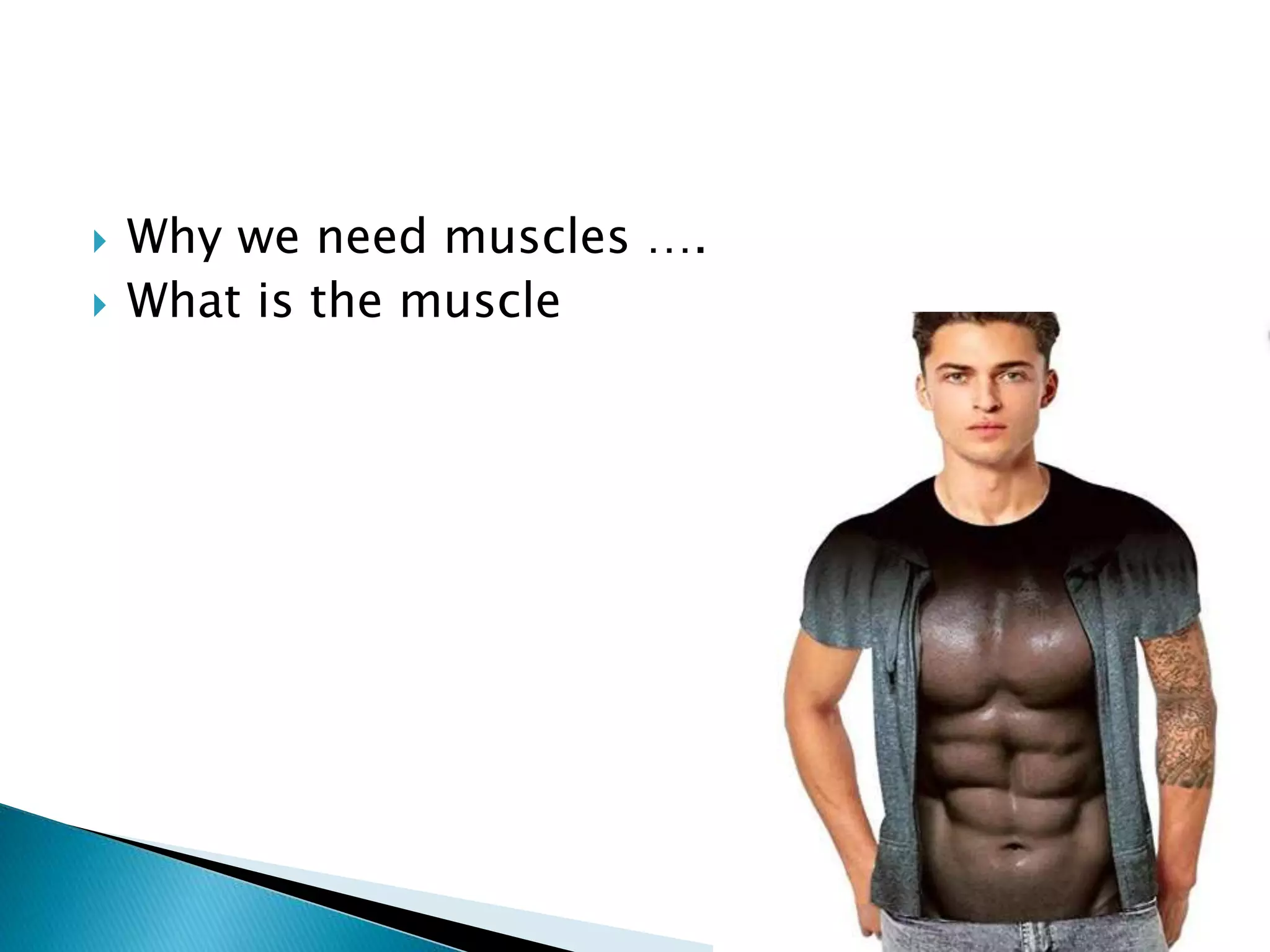Why we need to know ABOUT MUSCLES, PHYSIOTHERAPIST KNOW MUSCLES | PPTX