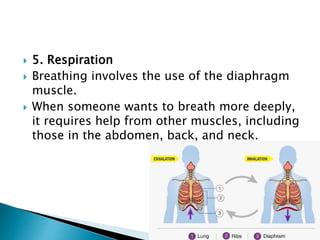 Why we need to know ABOUT MUSCLES, PHYSIOTHERAPIST KNOW MUSCLES | PPT
