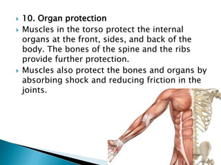 Why we need to know ABOUT MUSCLES, PHYSIOTHERAPIST KNOW MUSCLES | PPT