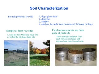 Why we study soil.ppt