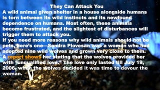 Why Wild Animals Should Not Be Kept as.pptx