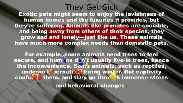 Why Wild Animals Should Not Be Kept as.pptx | Dogs | Pets