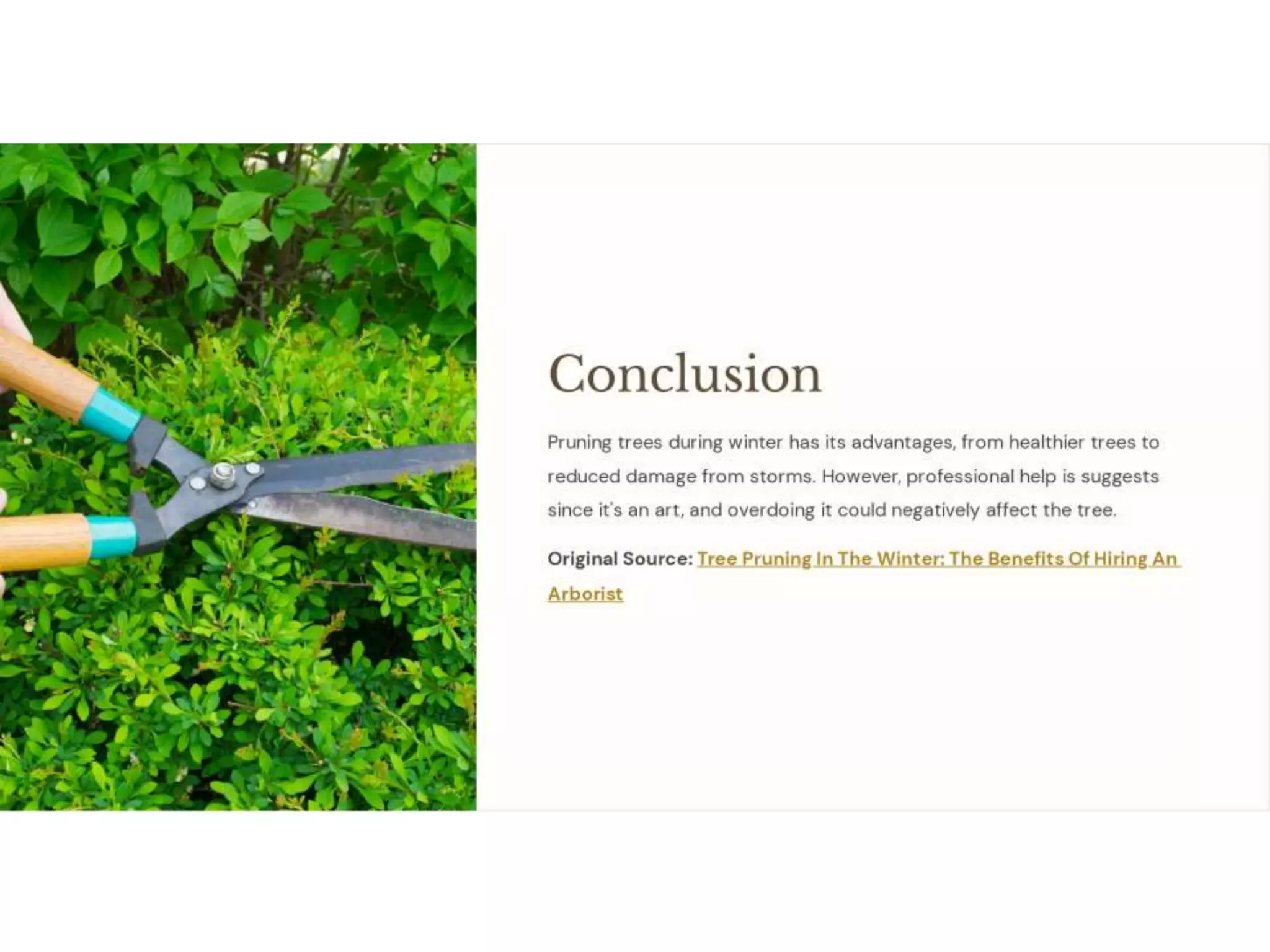 Why Winter Is The Best Time To Prune Trees.pptx