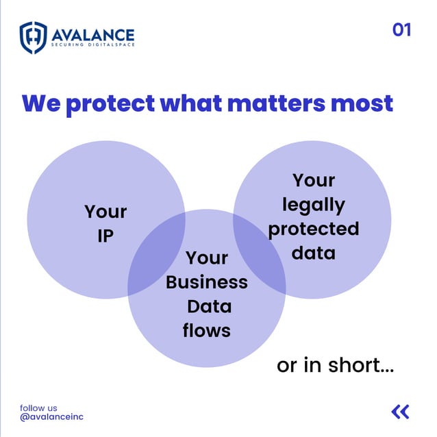 Why you should choose us | Avalance Global Solutions | PDF