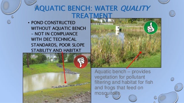 Shapp Pond Dam Removal Project, Culverts, & Local Water Regulations