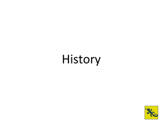 Wicket Security Presentation | PPT