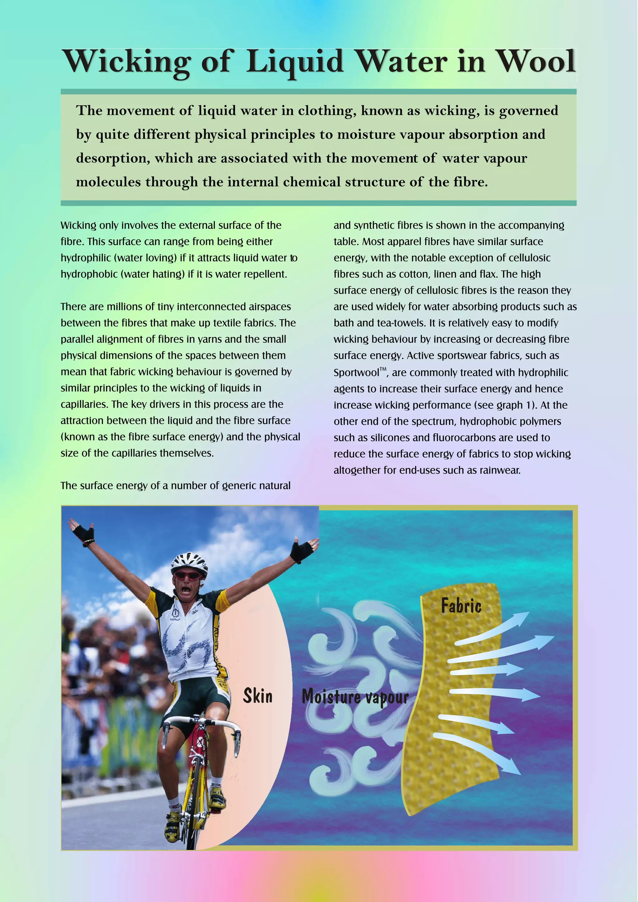Wicking of wool | PDF