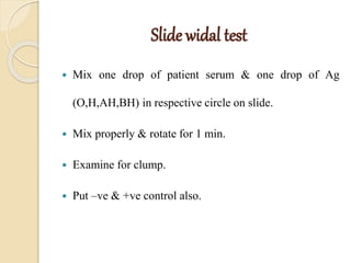 Widal Test | PPTX