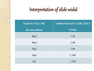 Widal Test | PPTX