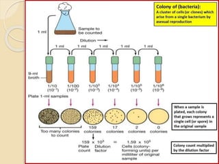 Widal Test: Introduction, Principle, Procedure, Result, 54% OFF
